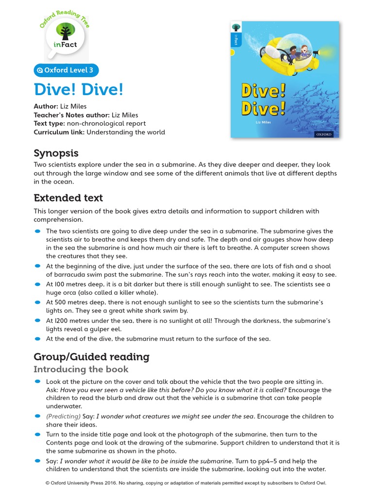 Dive Dive Teachers Notes | PDF | Cognition | Cognitive Science