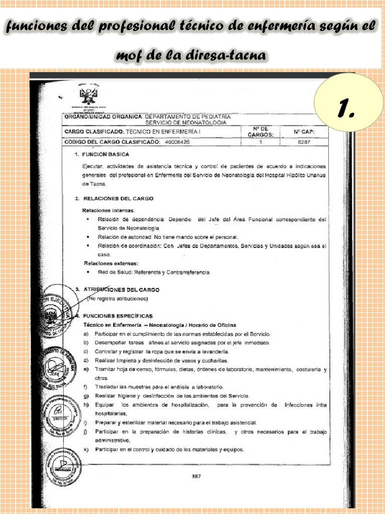 Funciones Del Profesional Técnico de Enfermería Según El Mof de La Diresa-Tacna | PDF