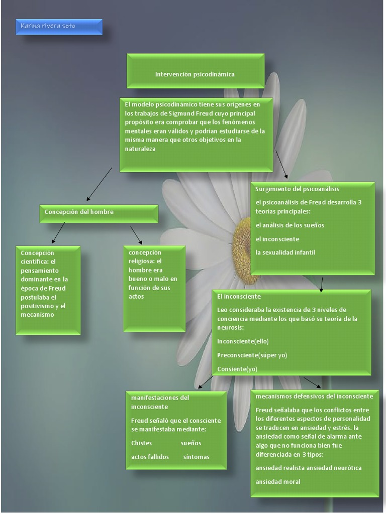 Organizador Grafico | PDF | Mente inconsciente | Psicoanálisis