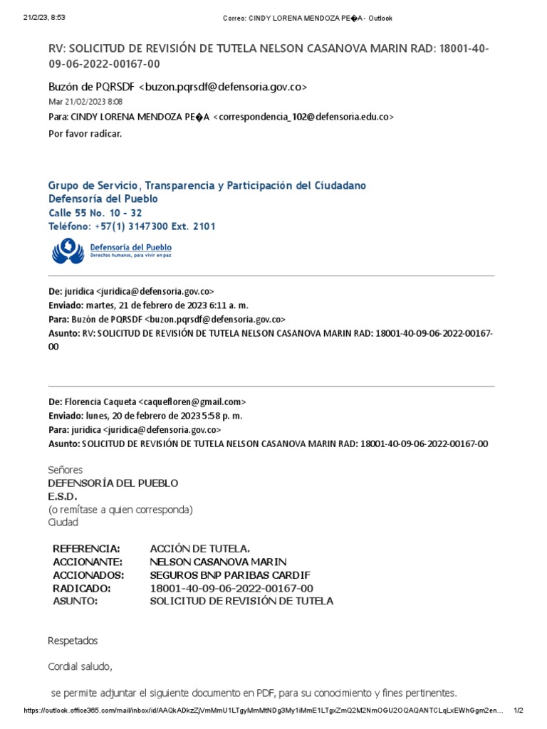 Revisión de Tutela: Nelson Casanova | PDF