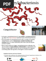 Infectious Disease Bug-Drug Chart | PDF | Medical Treatments | Antibiotics