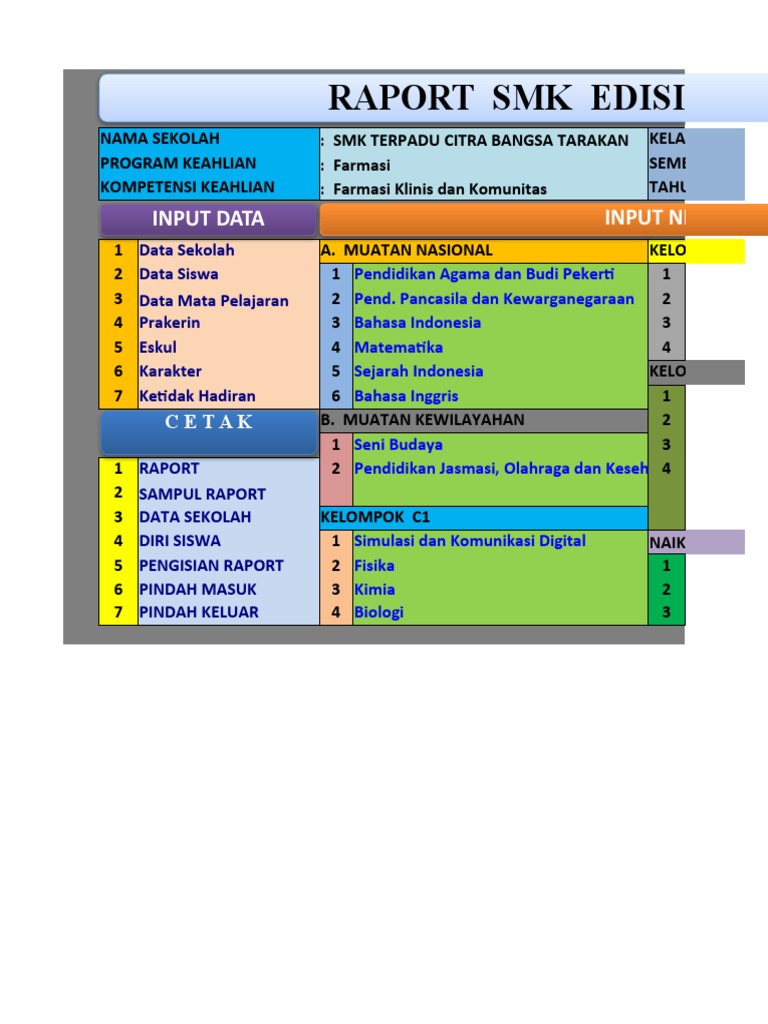 Raport SMK 2019 | PDF