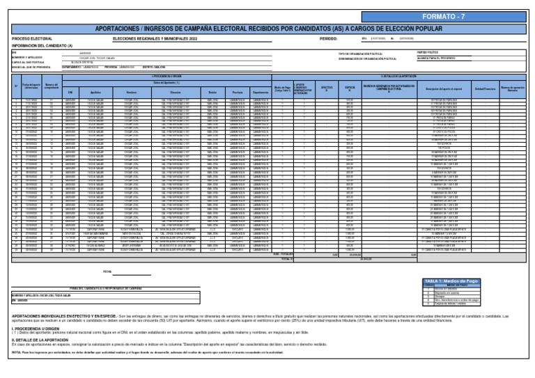 Formato-7 FINAL A3 | PDF | Gobierno