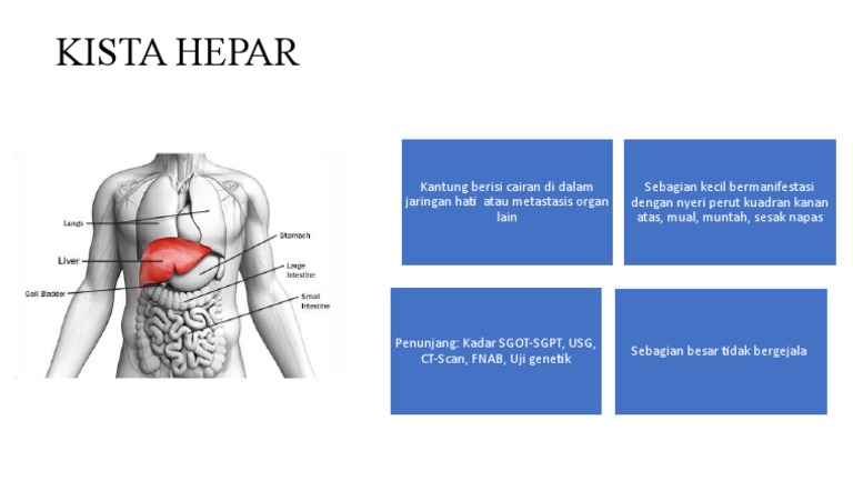 KISTA HEPAR Teori | PDF