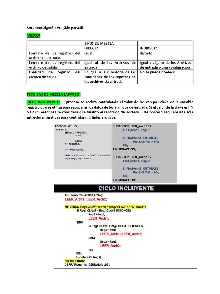 Resumen Algoritmos | PDF | Archivo de computadora | Informática