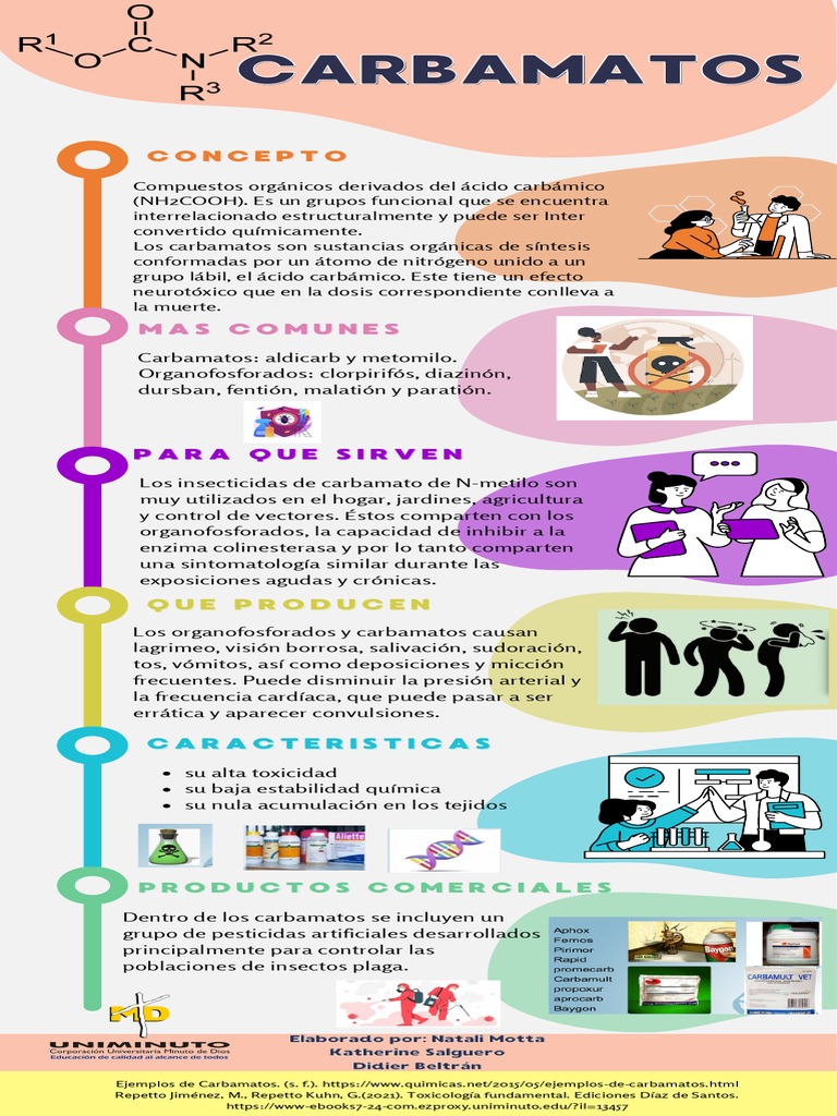 Infografía de Carbamatos | PDF