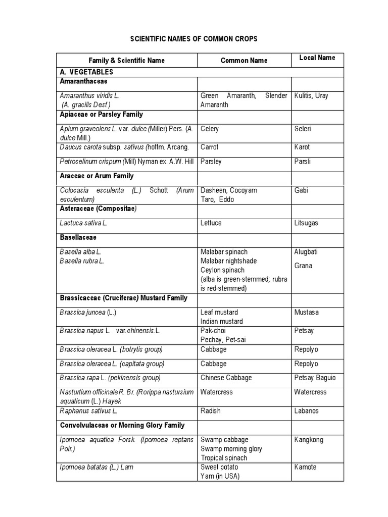 Scientific Names of Common Crops | PDF | Green Bean | Cabbage