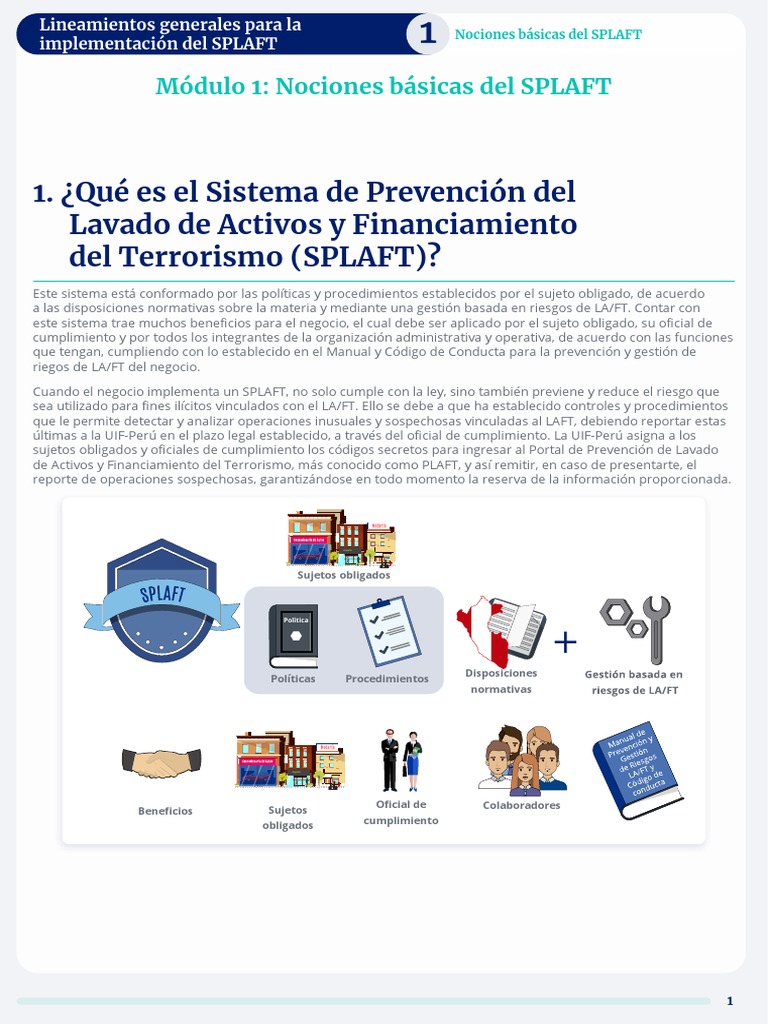 Módulo 1 Nociones Básicas Del SPLAFT | PDF