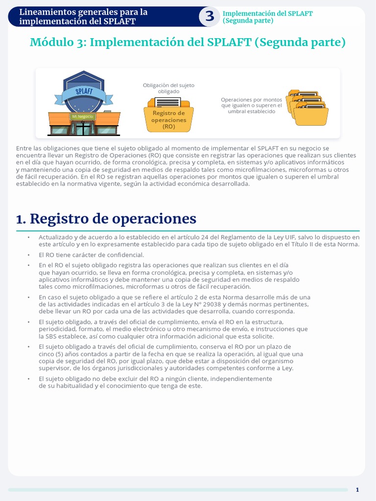 Módulo 3 Implementación del SPLAFT (Segunda parte) | PDF | Cliente