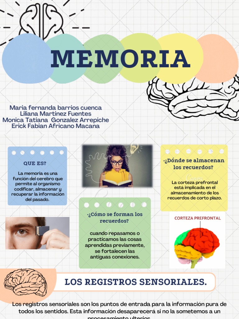 Proceso Psicologicos Memoria Pdf Memoria Cerebro
