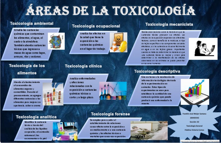 Infografia | PDF | Toxicidad | Alimentos