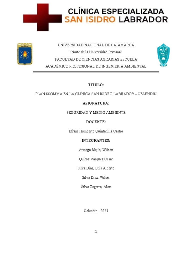 Plan Sso | PDF | Seguridad y salud ocupacional | Valores