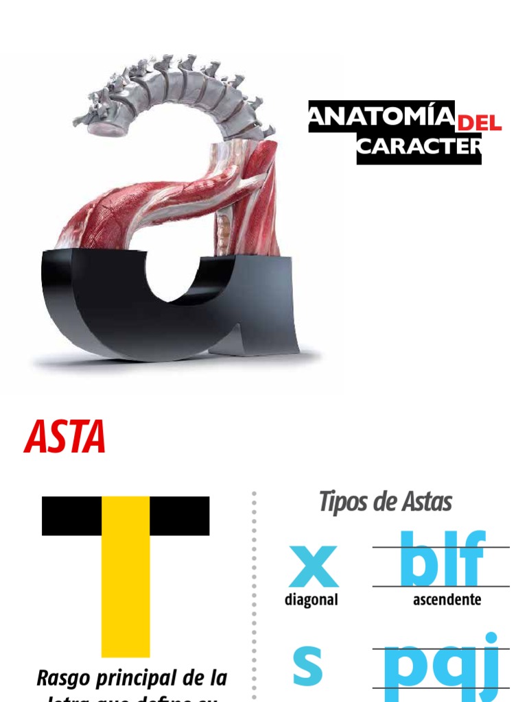 Anatomía de las Letras y sus Partes | PDF | Serif