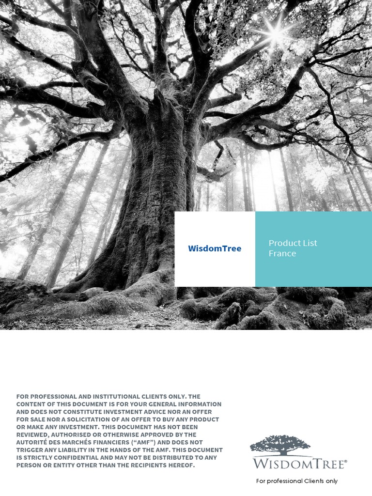 WisdomTree ETF Product Overview | PDF | Exchange Traded Fund ...
