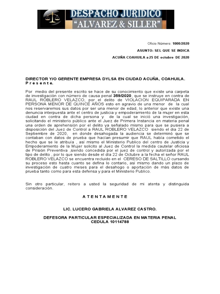 Dylsa | PDF