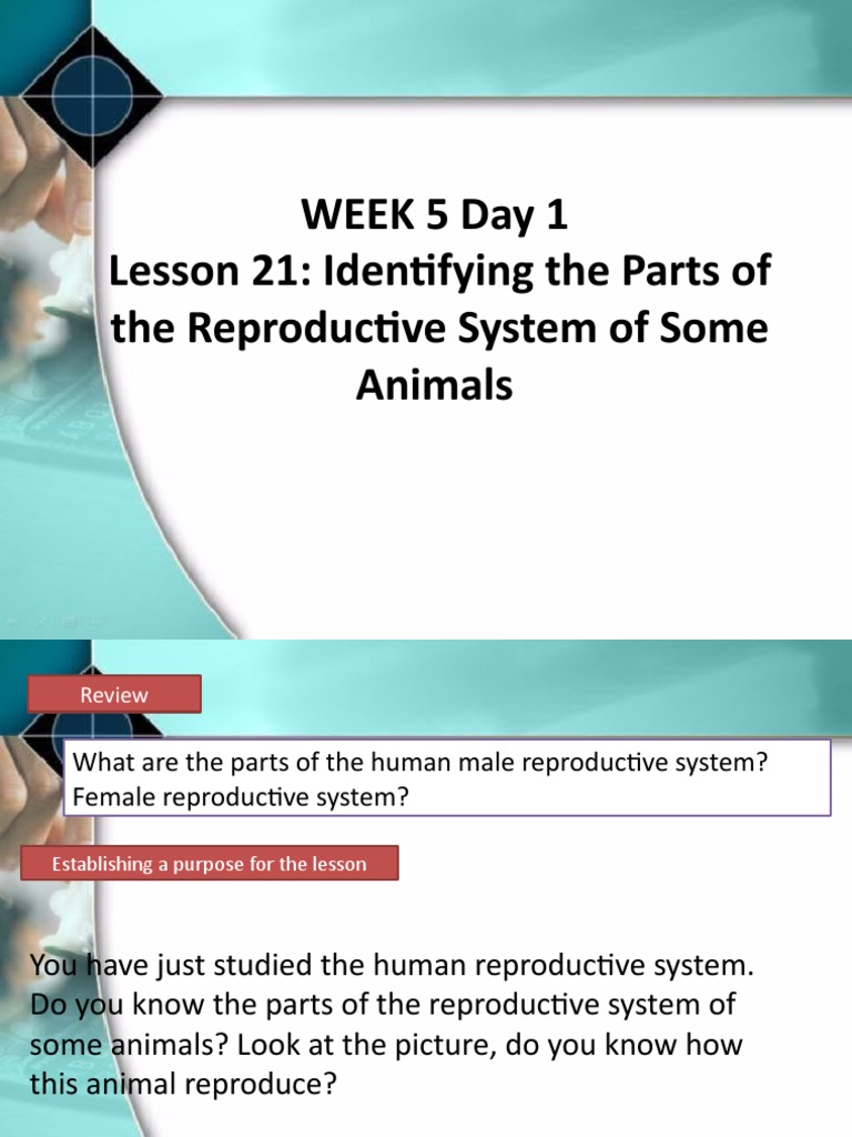 Science Q2 WK5 Day 1-5 | PDF | Sexual Reproduction | Butterfly