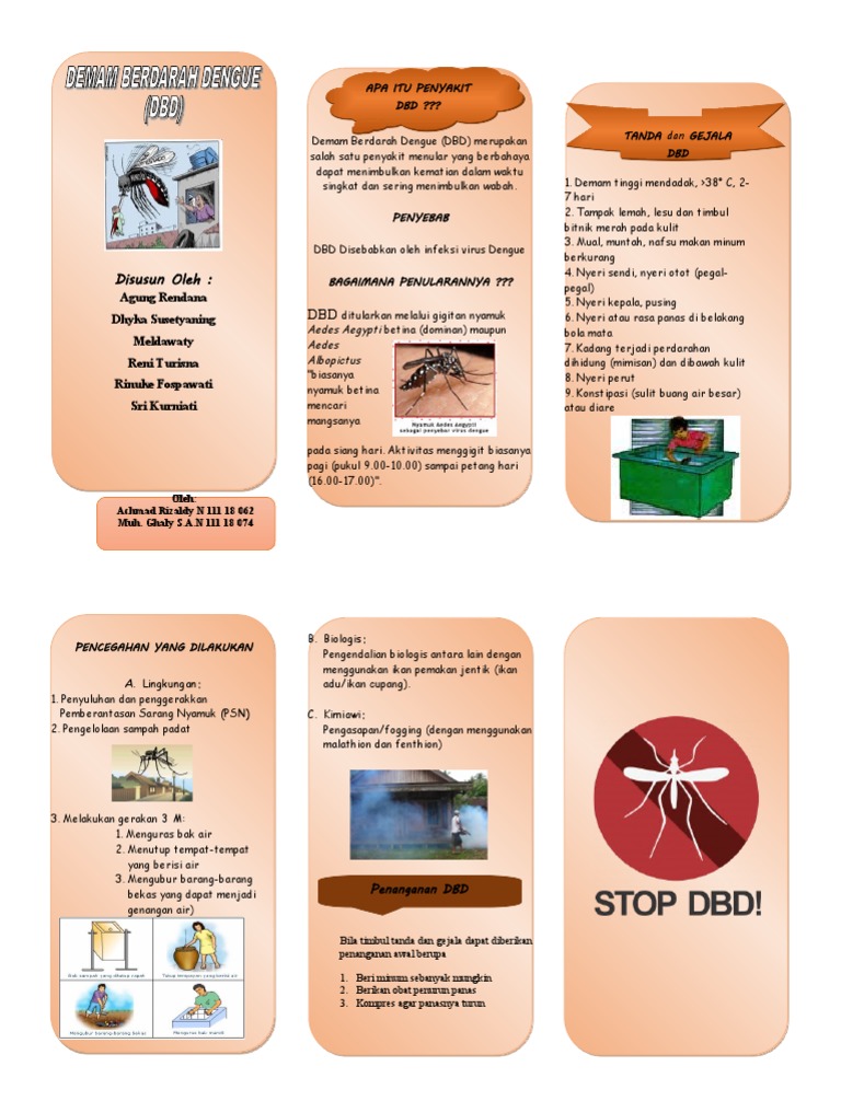 Leaflet DBD | PDF
