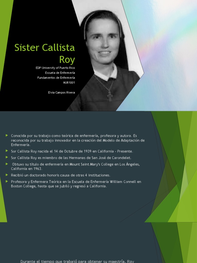 Sister Callista Roy | PDF | Comportamiento | Enfermería