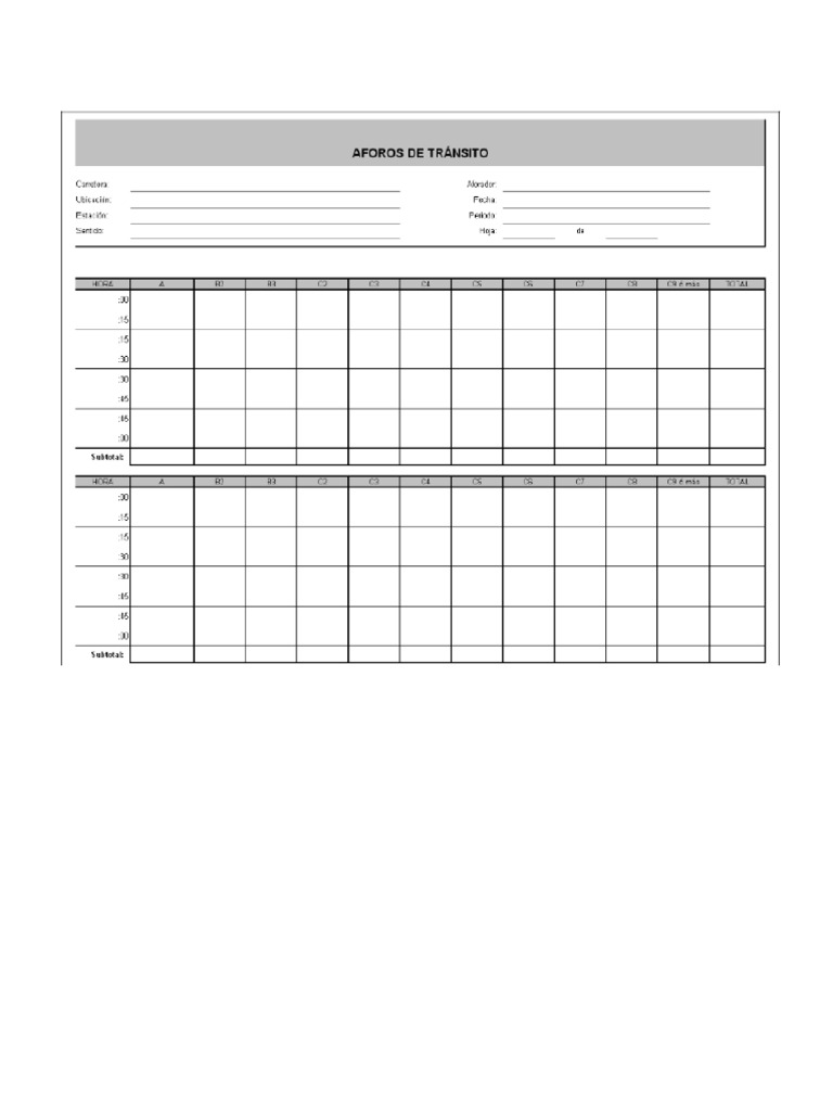 Formato de Aforos | PDF