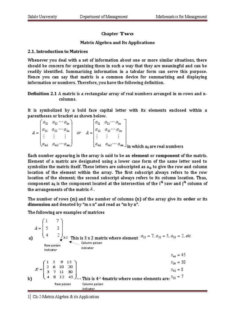 Maths CH - 2 | PDF | Matrix (Mathematics) | Equations