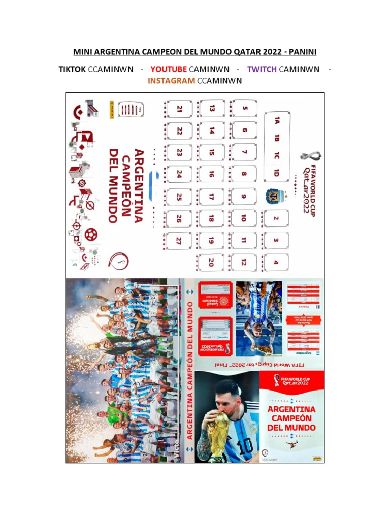 Vacio Mini Argentina Campeon Del Mundo Qatar 2022 | PDF