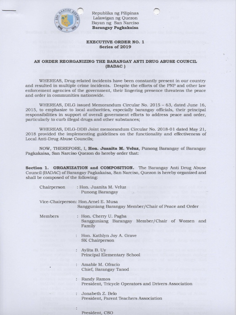 Eo No. 1 Sy 2019 Badac | PDF