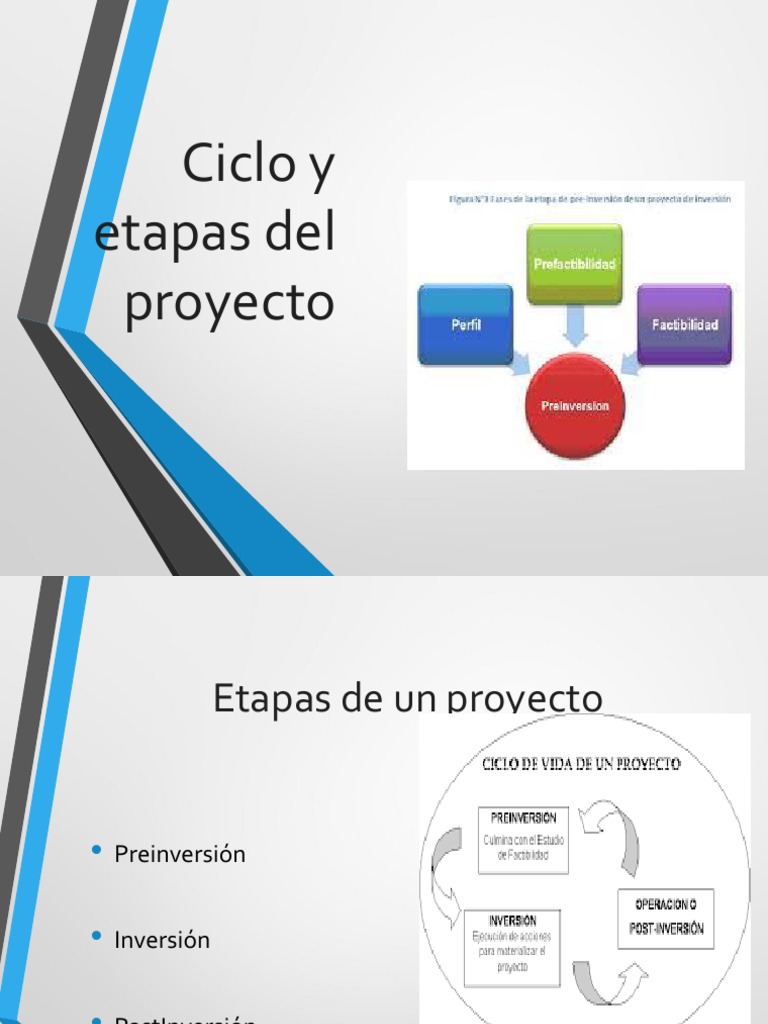Ciclo y Etapas Del Proyecto | PDF | Business | Economias