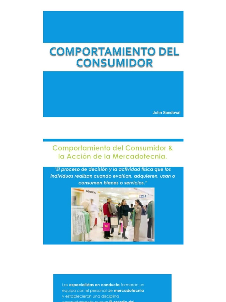 Comportamiento Del Consumidor | PDF