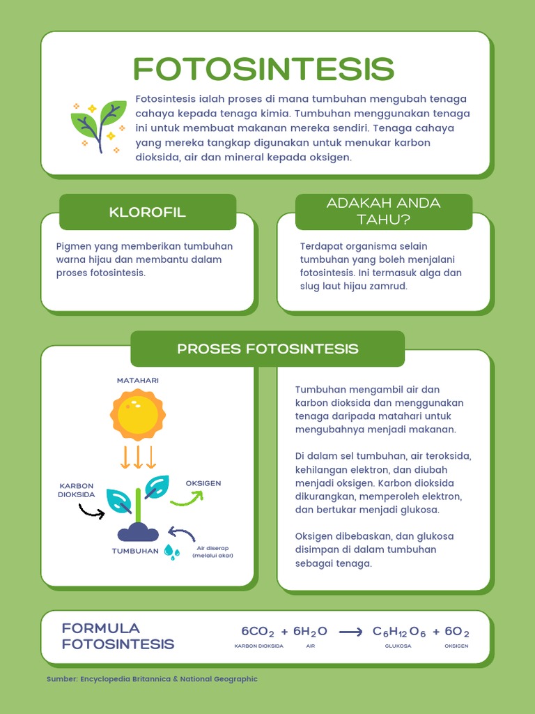 Proses Fotosintesis: Bagaimana Tumbuhan Menghasilkan Makanan Sendiri ...