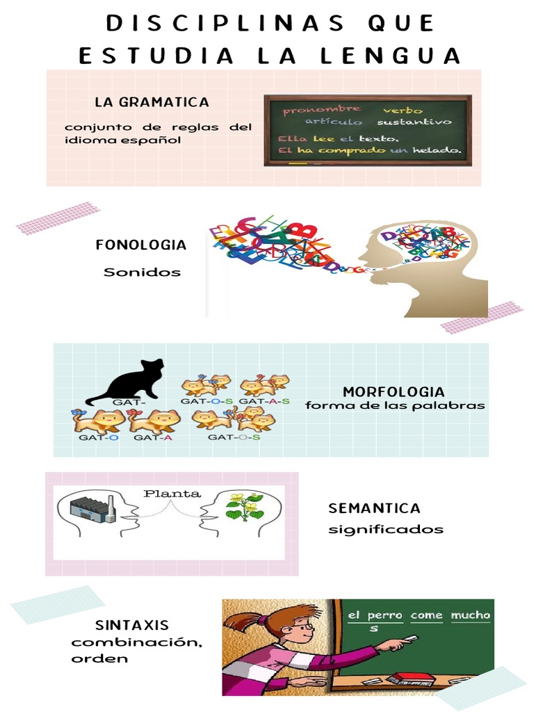 Disciplinas que estudia la lengua | PDF