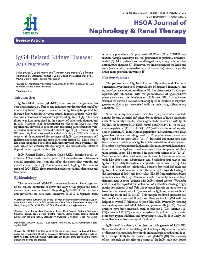 Igg4 Related Kidney Disease An Overview | PDF | Immunoglobulin G | Kidney
