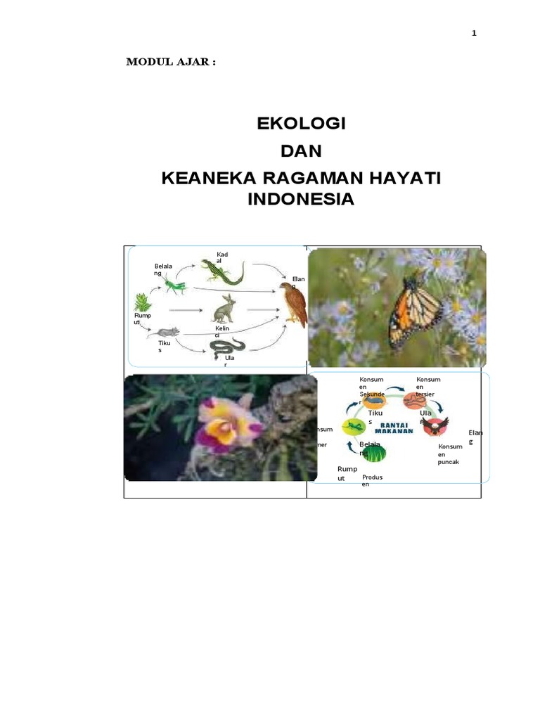 MODUL AJAR Pengaruh Manusia Terhadap Ekosistem | PDF MODUL AJAR Pengaruh Manusia Terhadap Ekosistem | PDF