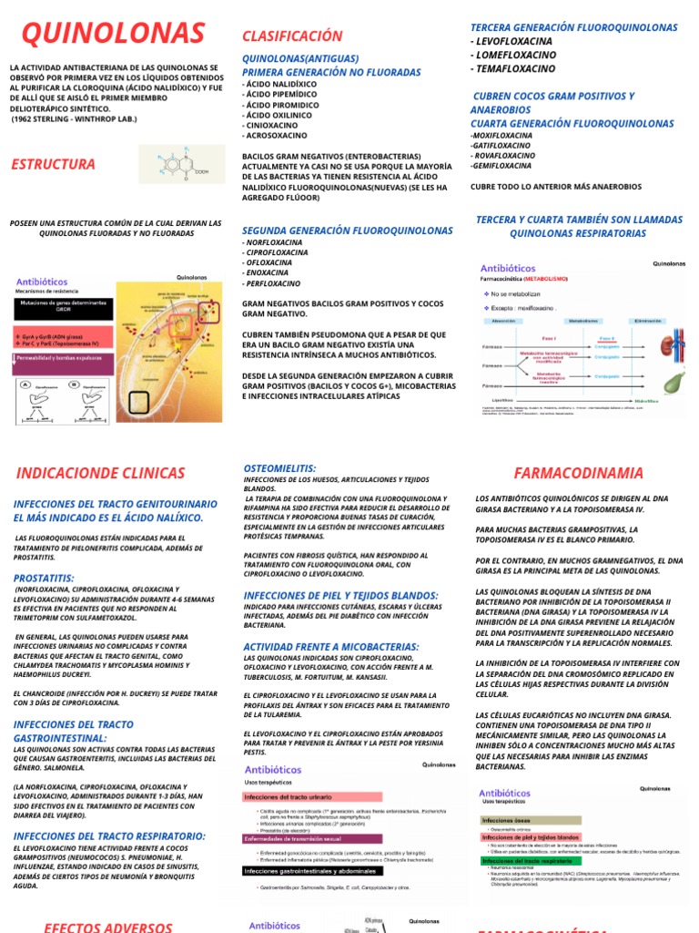 Triptico de Quinolonas | PDF | Medicina | Especialidades Medicas