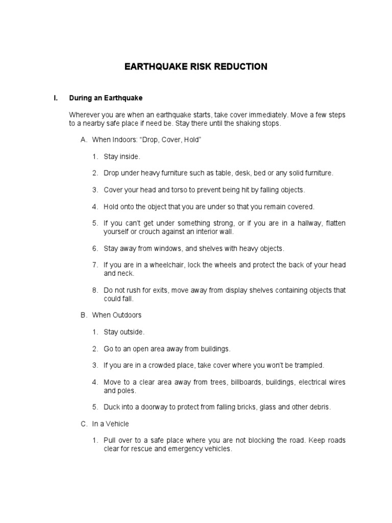 Protecting Lives During Earthquakes: Comprehensive Guidelines for Earthquake Risk Reduction | PDF