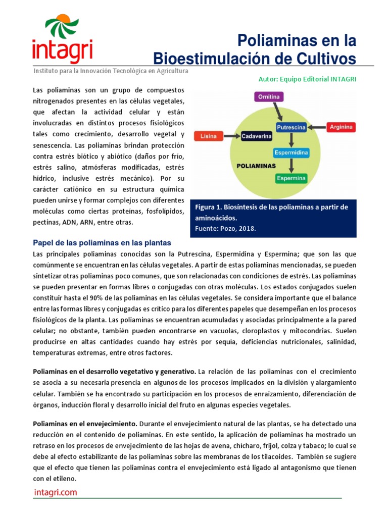 Poliaminas en La Bioestimulacion de Cultivos | PDF | Poliamina | Plantas