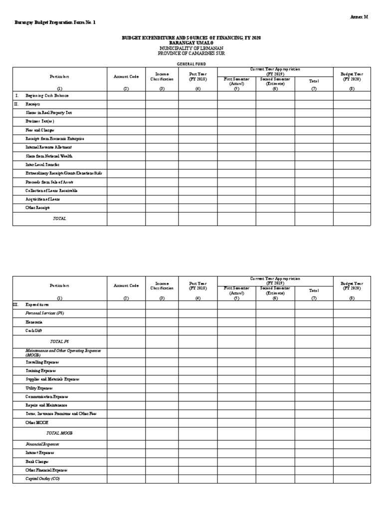 BBP Form 1 | PDF | Expense | Budget