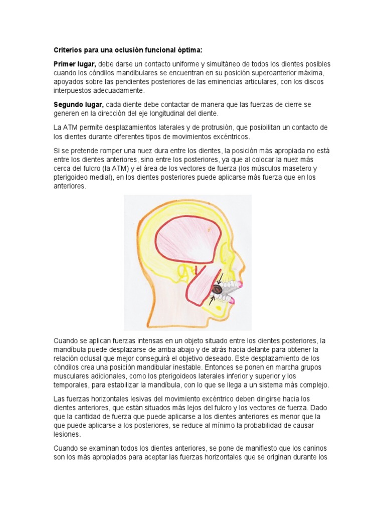 Criterios para Una Oclusión Funcional Óptima | PDF | Salud y bienestar
