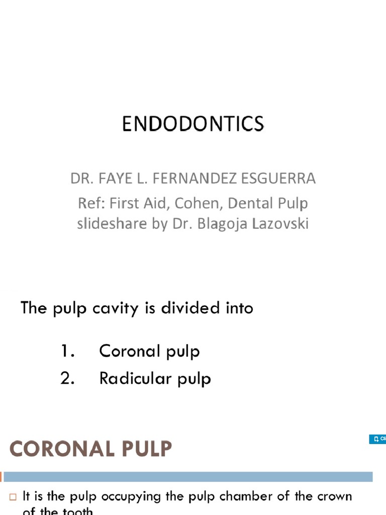 Endo | PDF