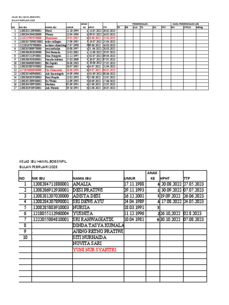 Kelas Ibu Hamil Bogenfil Februari 2023 | PDF