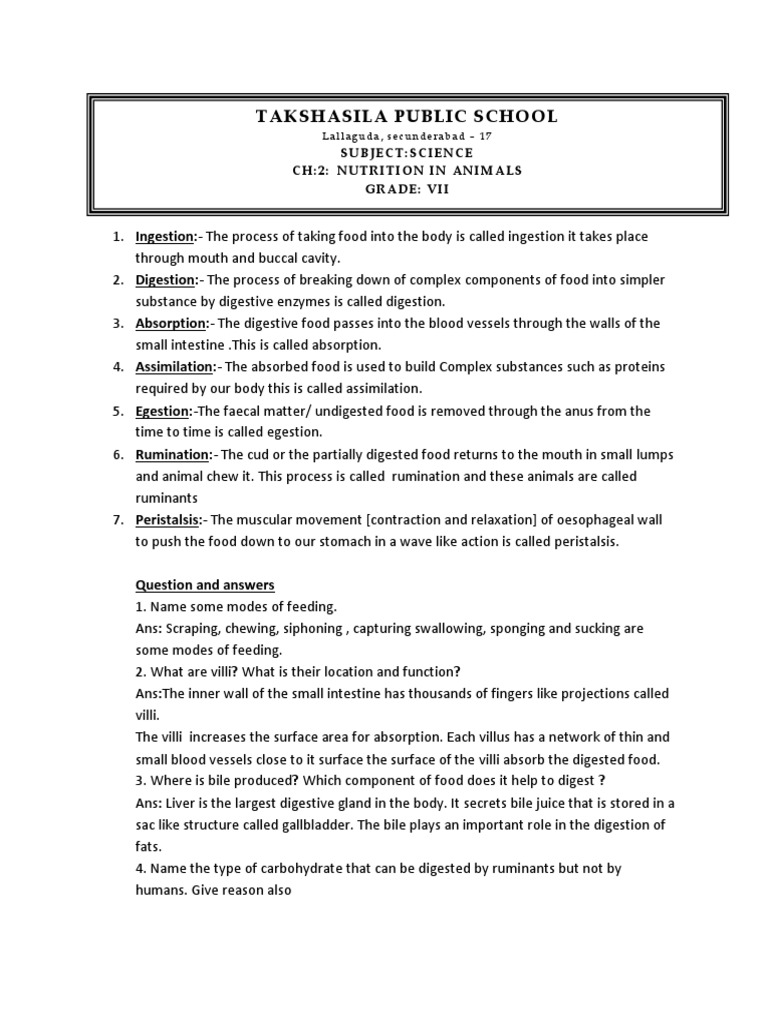 1651048027class 7 (Science Notes CH 2 Nutrition in Animals) | PDF ...