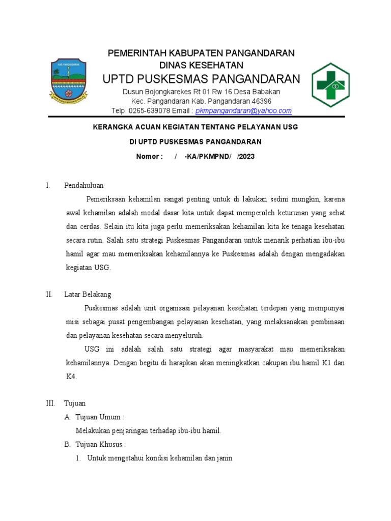 Kak Pelayanan Usg | PDF