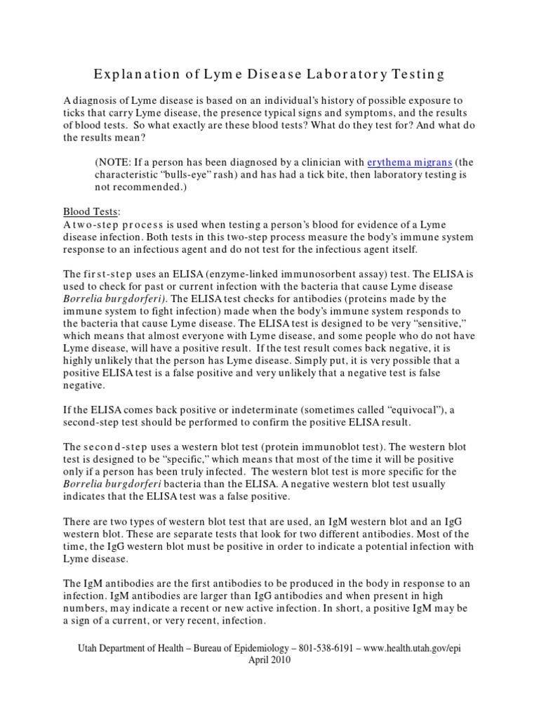 Lyme Disease Lab Testing Explanation | PDF | Lyme Disease | Elisa