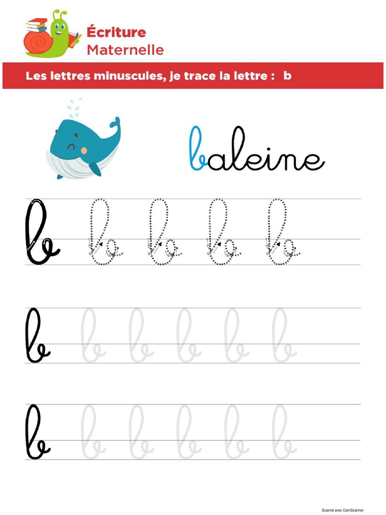 Écriture La Lettre B en Cursive | PDF