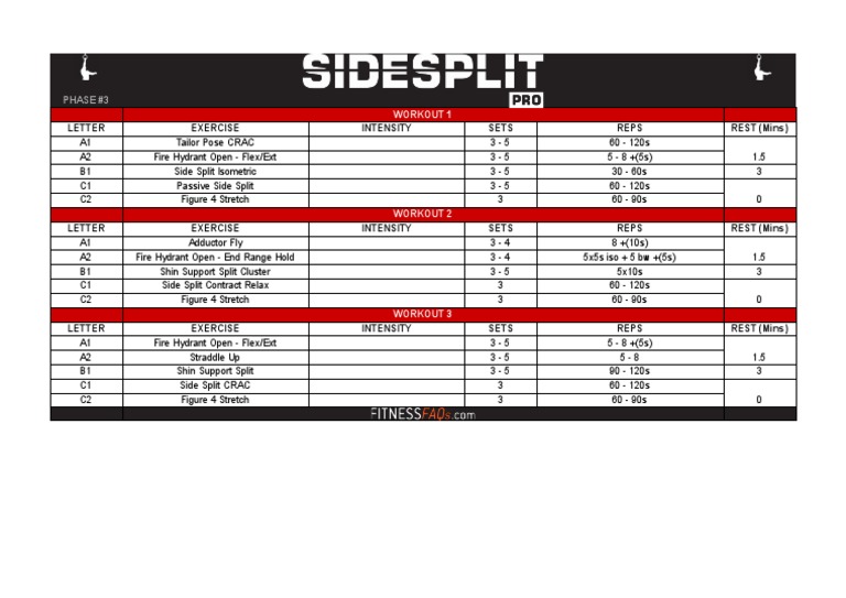 Pro Split Workout Phase 3 Guide | PDF