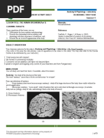 Anaphy 1 (Prelim) | PDF | Epithelium | Atomic Nucleus
