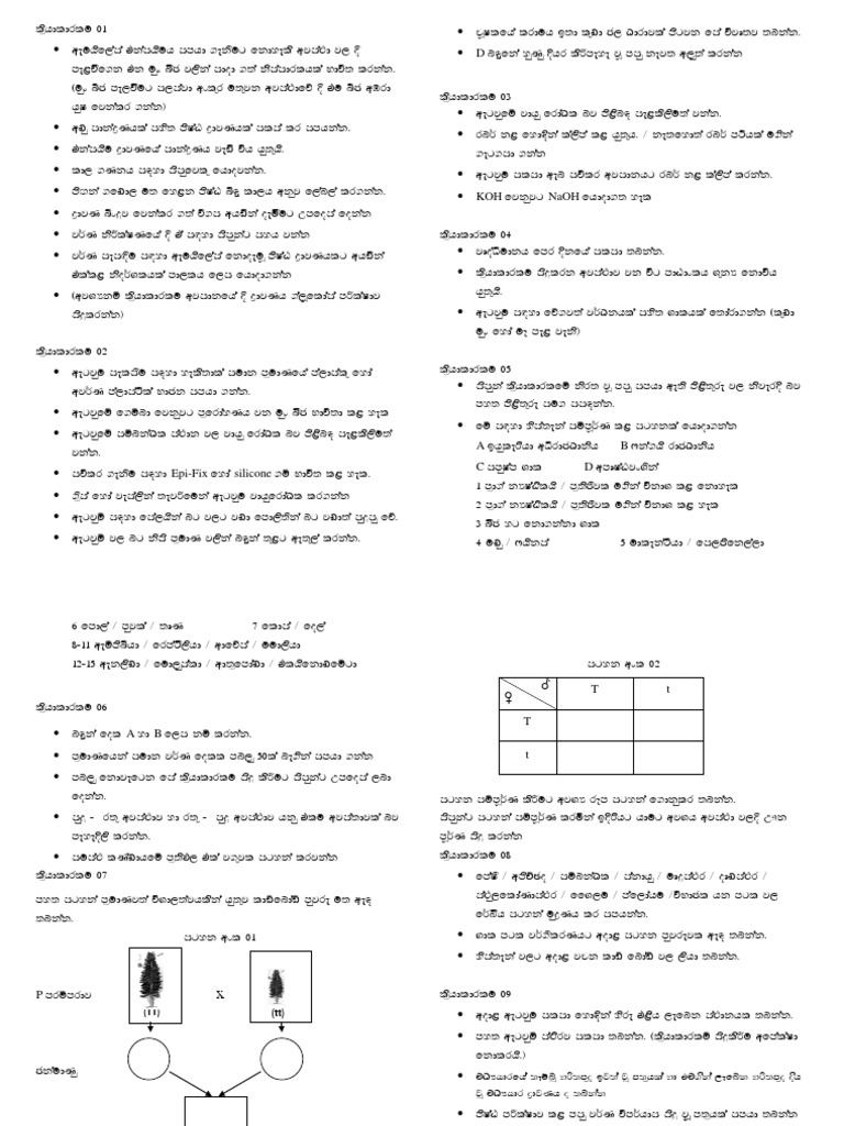 Work Sheet Teachers Guide | PDF