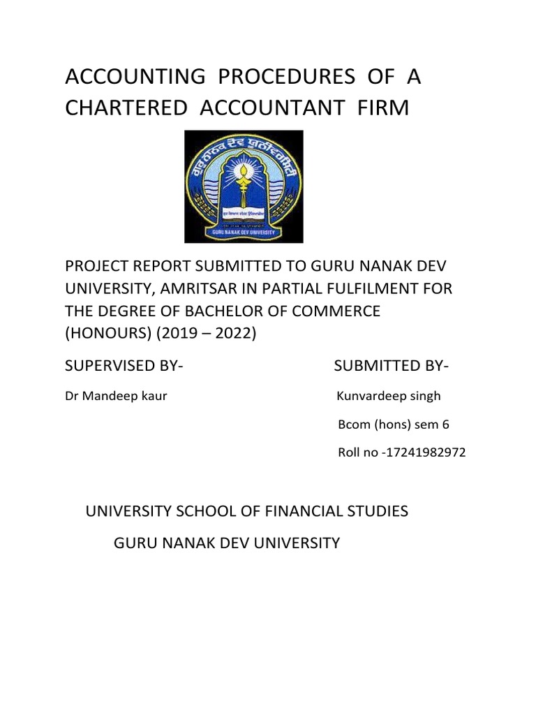 Interim Report | PDF | Audit | Taxes