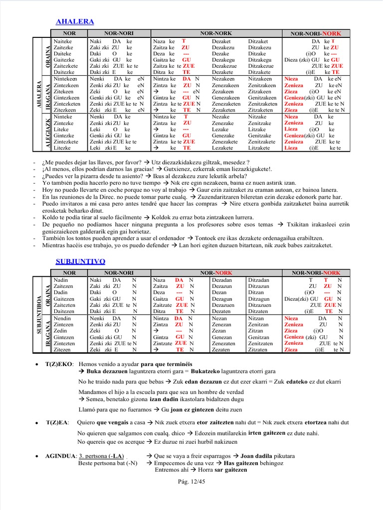 Euskera Gramatika | PDF