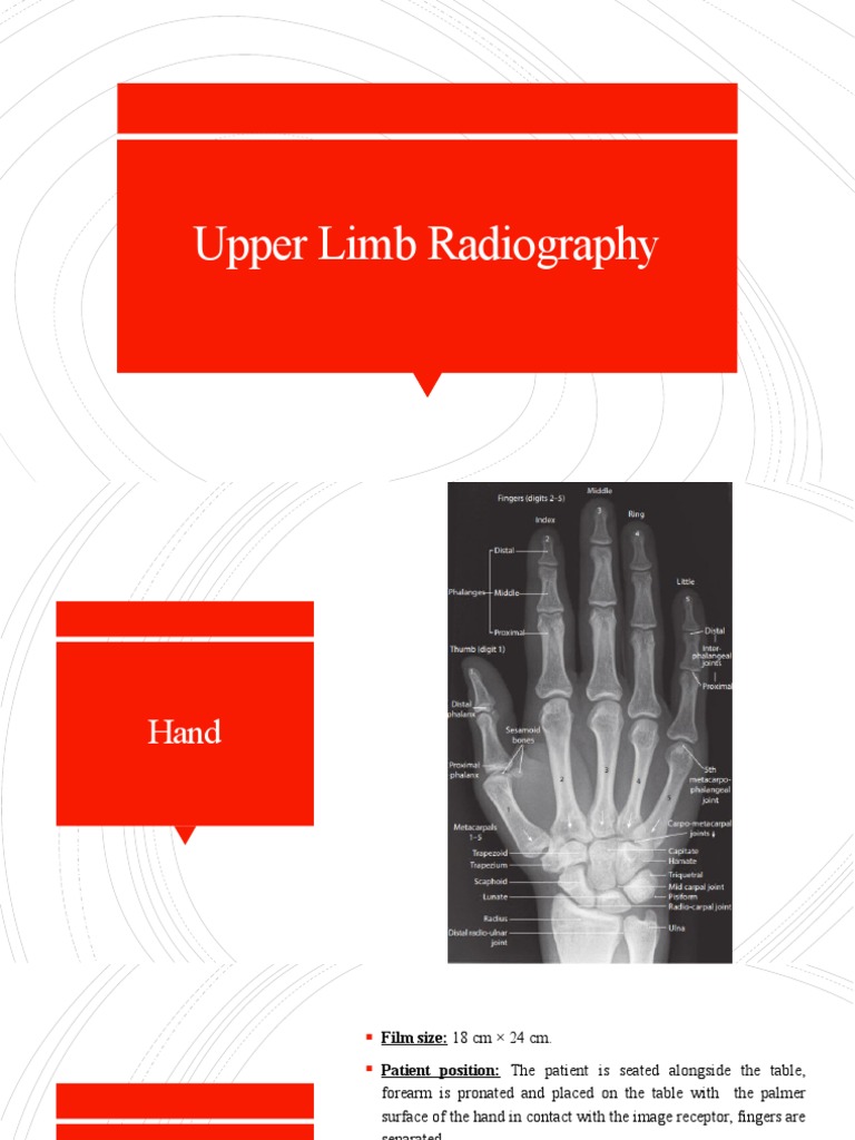 Upper Limb X-Ray Positioning Guide | PDF | Elbow | Anatomical Terms Of ...