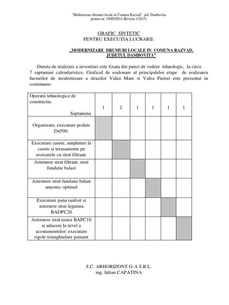 Grafic de Executie-1 | PDF